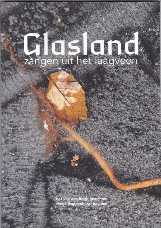Collectief Raaf 2 - Glasland, Bas van den Berg | 9789493175730 | Boeken | bol