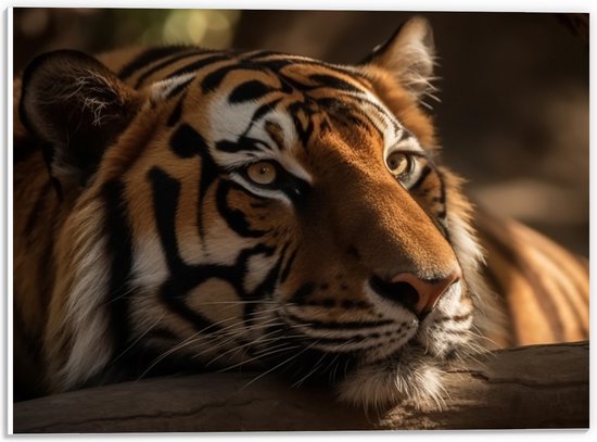 PVC Schuimplaat- Tijger - Dier - Kleuren - 40x30 cm Foto op PVC Schuimplaat | bol