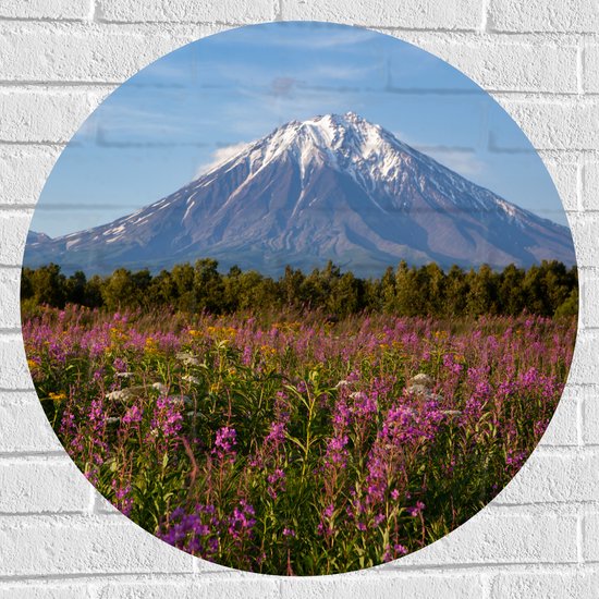 Muursticker Cirkel - Bruine Berg aan het Einde van Roze Bloemenveld ...