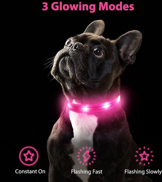 LED halsband voor honden - Roze - Maat L - Lichtgevend, reflecterend ...