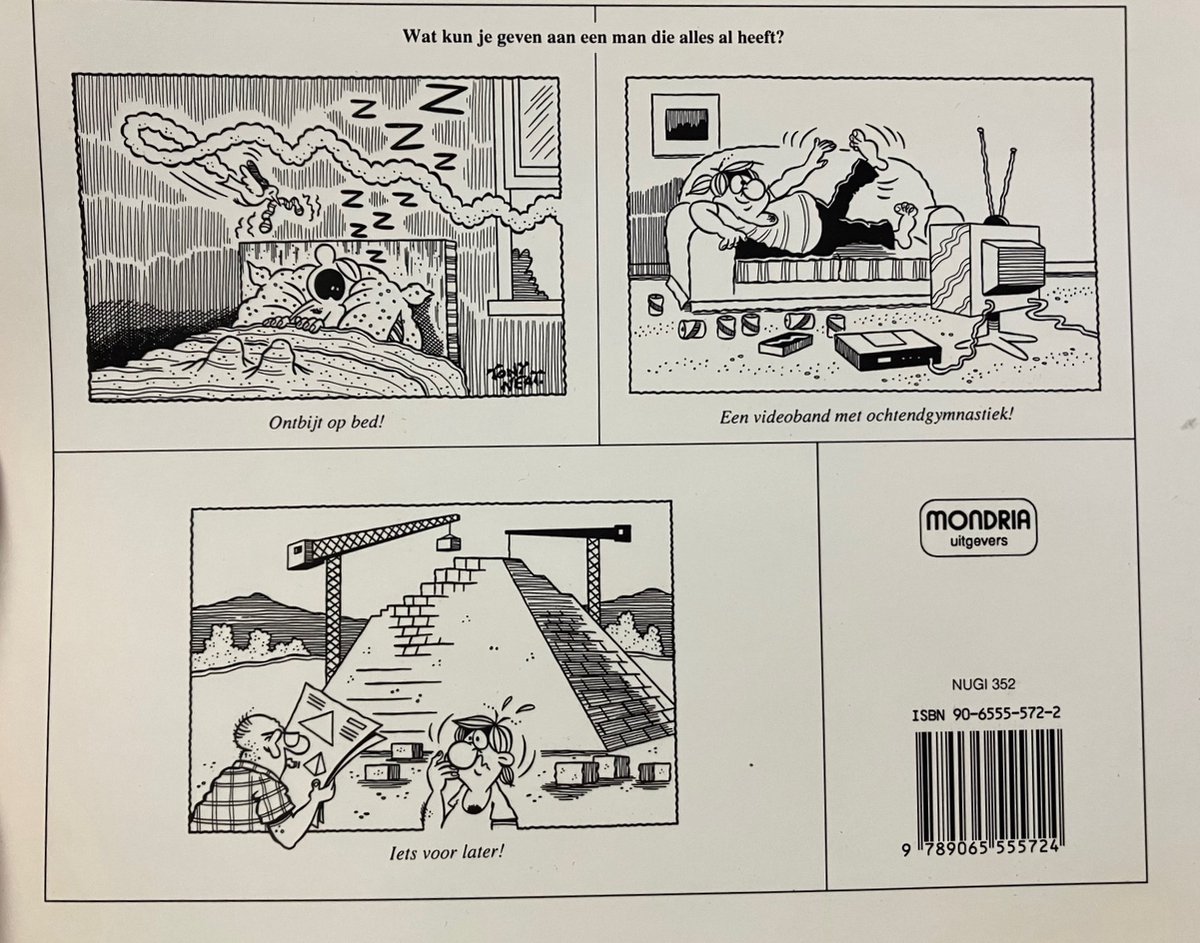 Het kado voor de man die alles al heeft, T. Neat | 9789065555724 ...