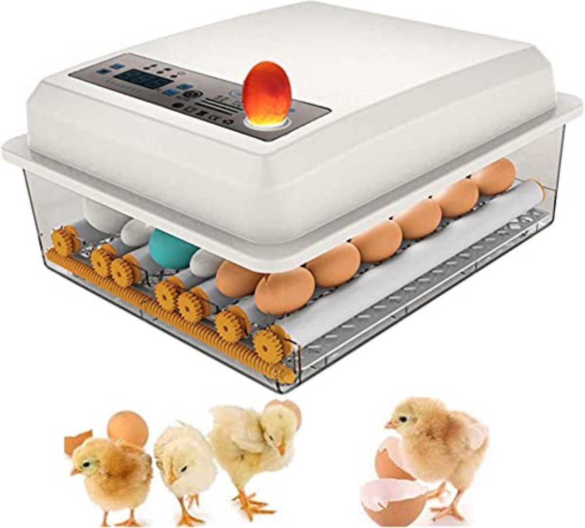 Broedmachine voor eieren - Broedmachine Automatisch - Incubator - Broedmachine Voor Kippen | bol.com
