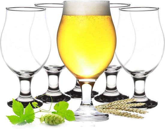 Glasmark Krosno Glazen Set Bier 0,5 Liter Bierglazen Bierpokal Glazen Craft Beer... | bol.com