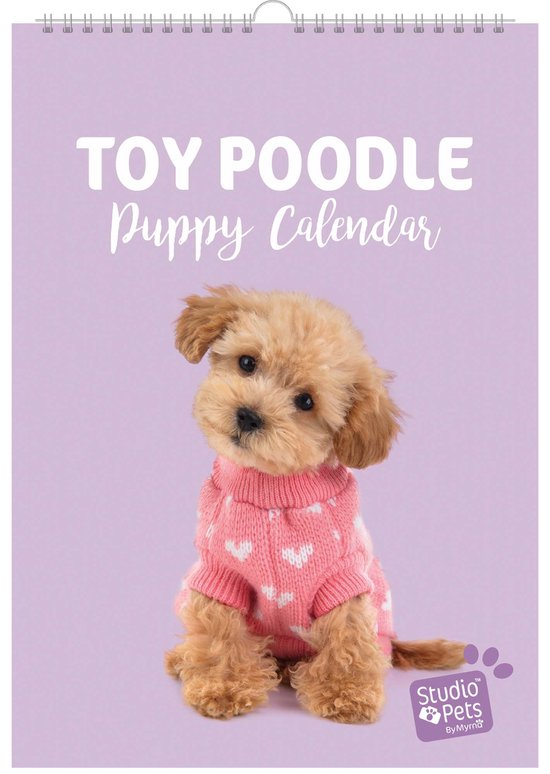 Studio Pets® A4 Toy Poedel Honden Verjaardag Kalender Maandplanner! | bol