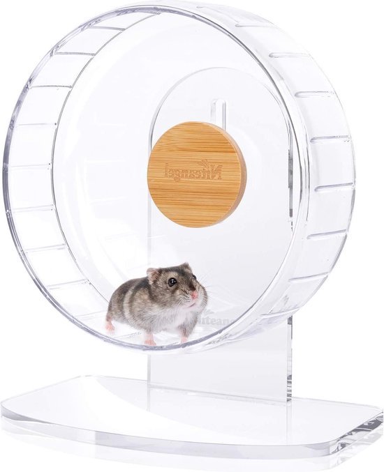 Hamsterwiel met verstelbare standaard - gerbils muizen - transparant | bol