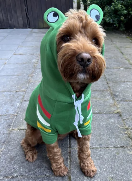 Mascottekes Oeteldonk Kikker - Carnaval outfit voor hond - Den Bosch ...