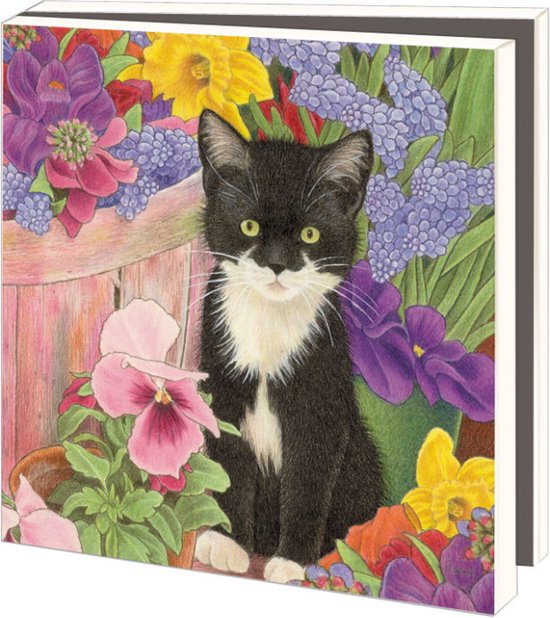 Kaartenmapje Franciens katten, 10 Stuks met Enveloppen | bol
