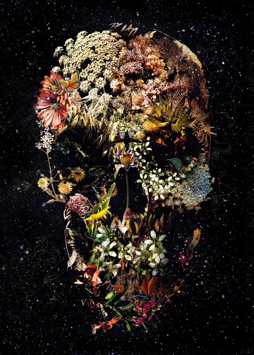 Luxe Wanddecoratie - Fotokunst Skull Collection - Hoogste kwaliteit ...
