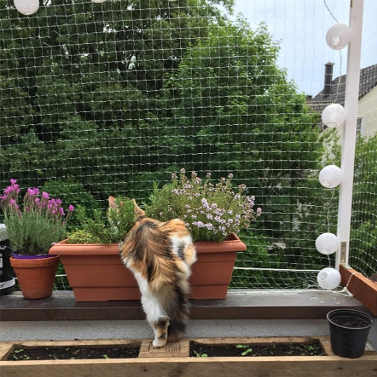 Kattennet 8x3m - Kattengaas voor Balkon - Kattennet Transparant voor ...