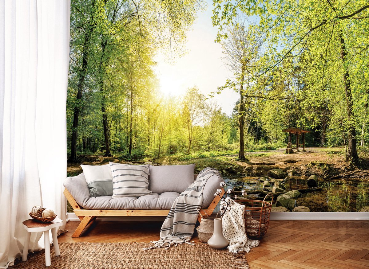 Fotobehang - Vlies Behang - Zonnig Bos met een Beekje - 312 x 219 cm | bol