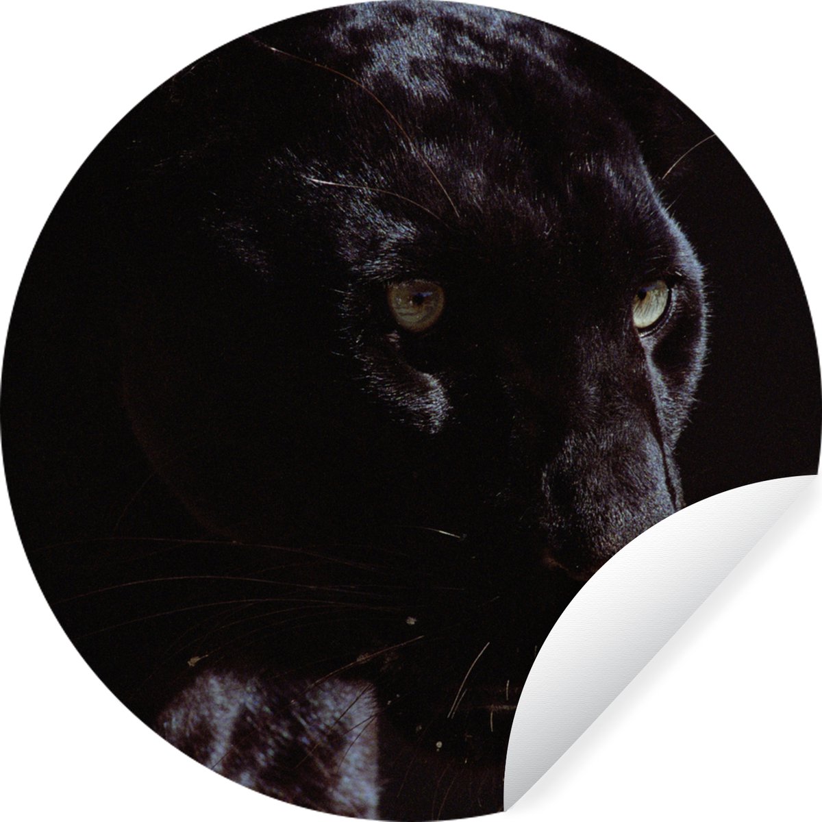 WallCircle - Muurstickers - Behangcirkel - Panter - Dier - Zwart - 80x80 cm -... | bol.com