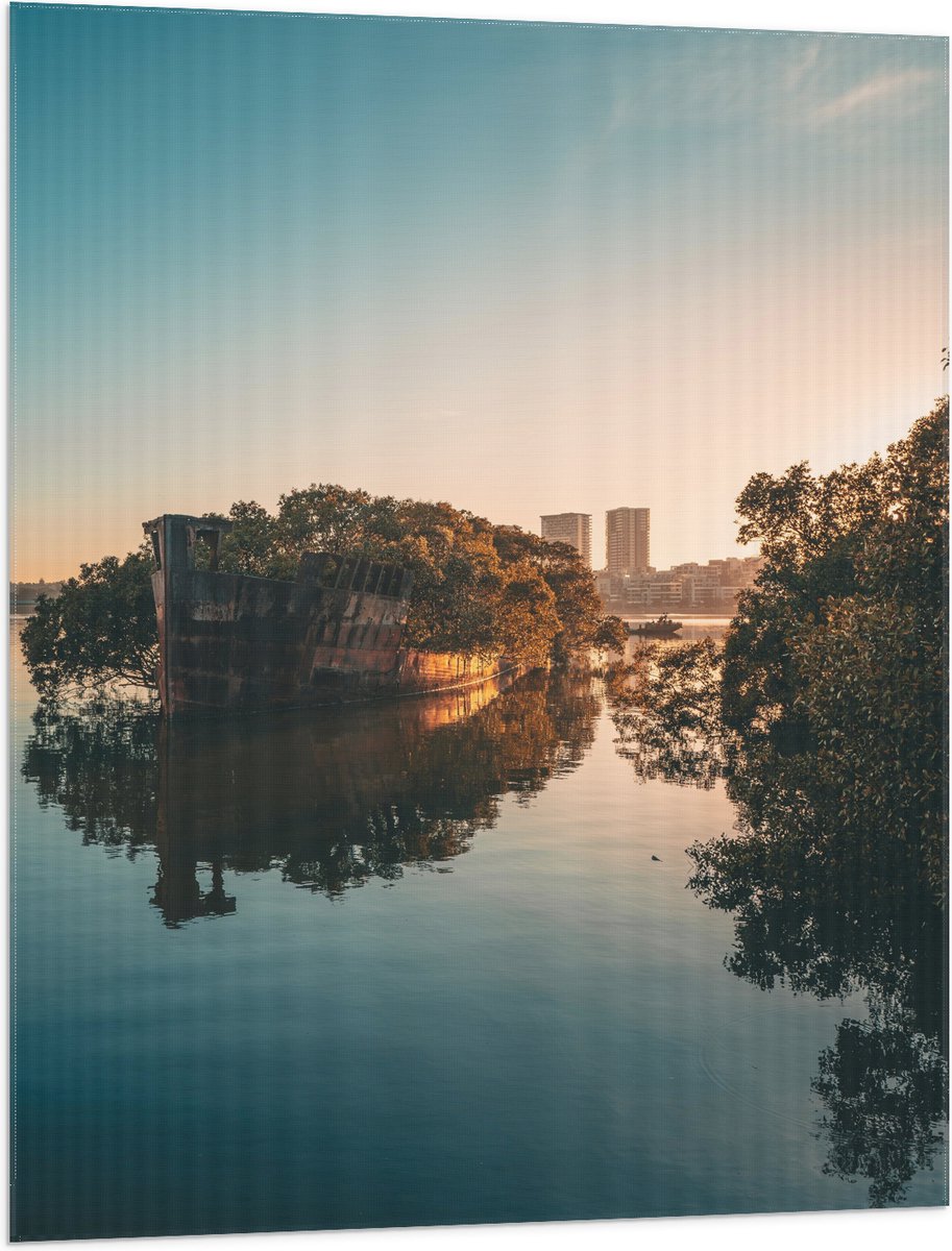 WallClassics - Vlag - Begroeid Scheepswrak in het Water - 75x100 cm ...