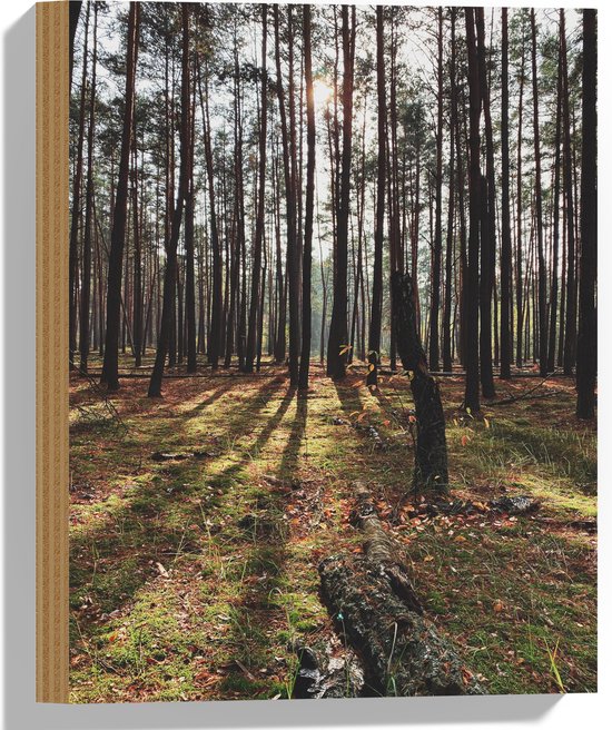 WallClassics - Hout - Begin van Bos - 30x40 cm - 12 mm dik - Foto op ...