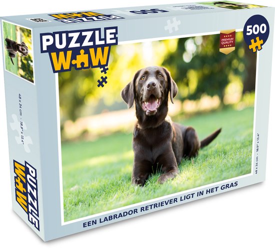 Puzzel Een Labrador Retriever ligt in het gras - Legpuzzel - Puzzel 500 ...