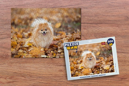 Puzzel Pomeriaan tijdens herfst - Legpuzzel - Puzzel 500 stukjes | bol.com