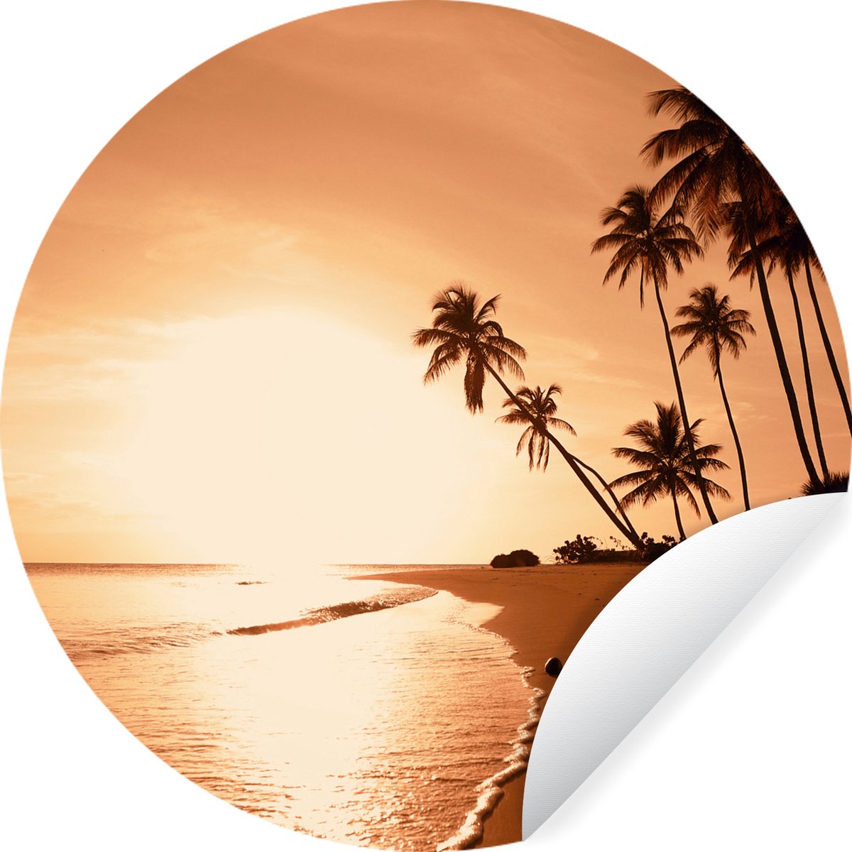 WallCircle - Behangcirkel - Strand - Palmboom - Zon - Zee - Zelfklevend ...
