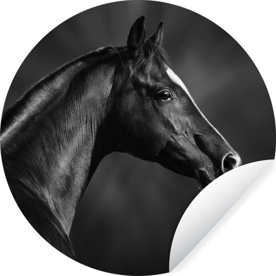 WallCircle - Behangcirkel - Zelfklevend behang - Dieren - Paard - Zwart - Wit - Grijs... | bol.com