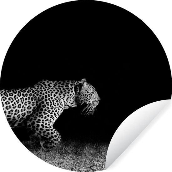 Behangcirkel - Zelfklevend behang - Wilde dieren - Luipaard - Gras - Zwart - Wit -... | bol