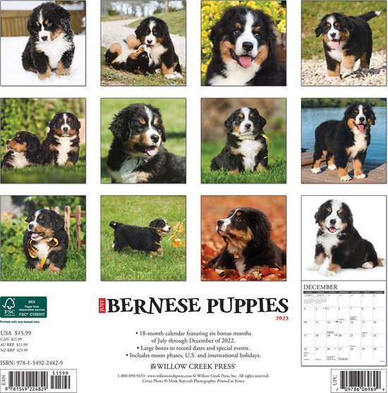 Berner Sennen Kalender 2023 | bol.com