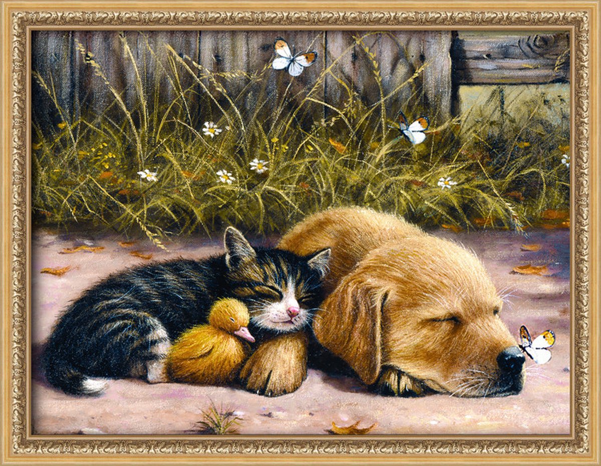 Diamond painting kit "Sleeping animals" 40x30 cm vierkante steentjes | bol.