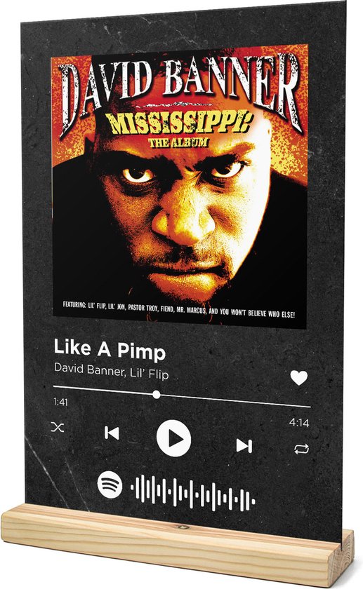 Songr Spotify Plaat - Like A Pimp - David Banner, Lil' Flip - 20x30 - Zwart - Dibond... | bol.com