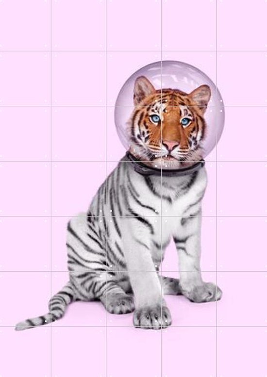 IXXI Space Tiger, Paul Fuentes - 100 x 140 cm - Gratis ophangtool ...