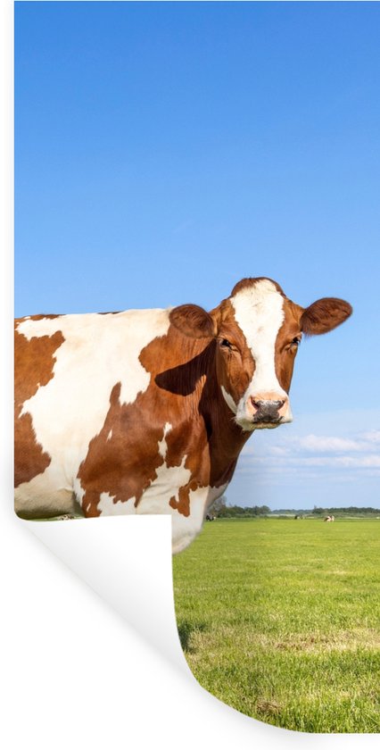 Muurstickers - Sticker Folie - Koeien - Boerderij - Gras- Natuur ...