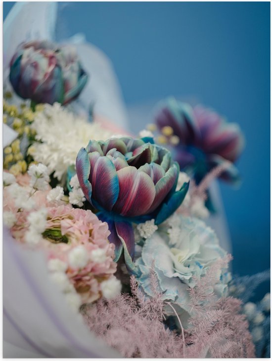 WallClassics - Poster (Mat) - Bloeiende Tulpjes - 60x80 cm Foto op ...