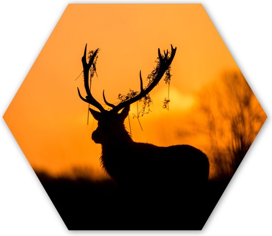 Hexagon wanddecoratie - Kunststof Wanddecoratie - Hexagon Schilderij - Hert - Oranje -... | bol