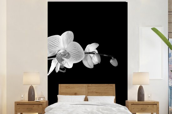 Behang - Fotobehang Orchidee - Bloemen - Zwart - Roze - Knoppen ...