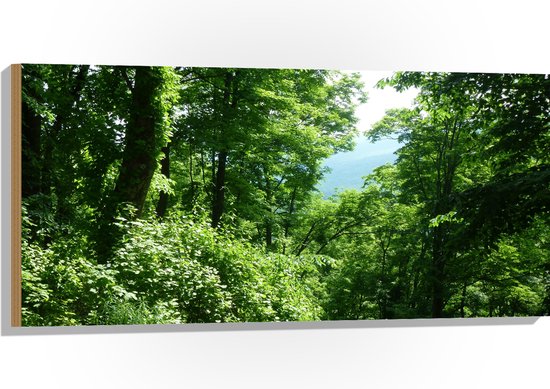 Hout - Groene Blaadjes aan de Takken in het Bos - 100x50 cm - 12 mm dik ...