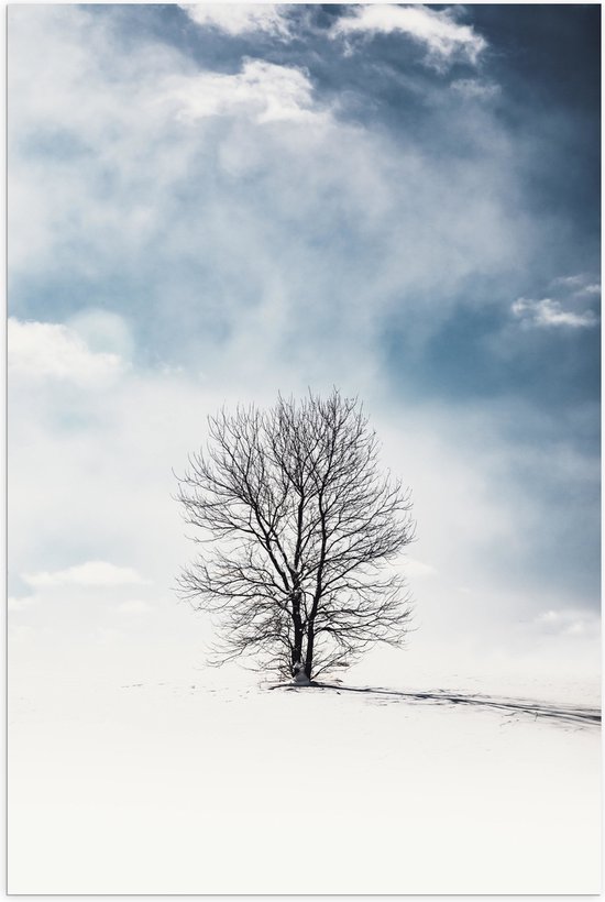 WallClassics - Poster (Mat) - Kale Eenzame Boom in Sneeuwlandschap ...