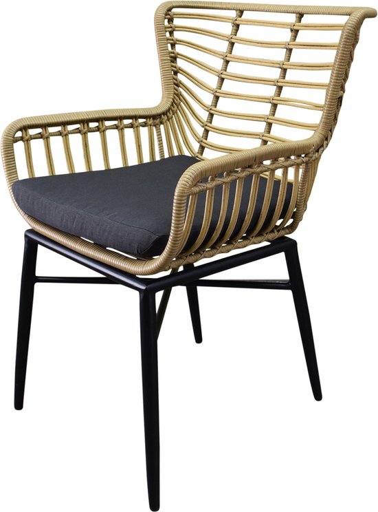 Texas dining tuinstoel wicker | bol