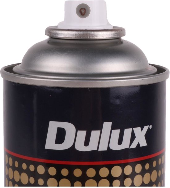 Dulux Verf Spuitbus - Spuitlak - Helder Koper Roze - 300g - Sneldrogend ...
