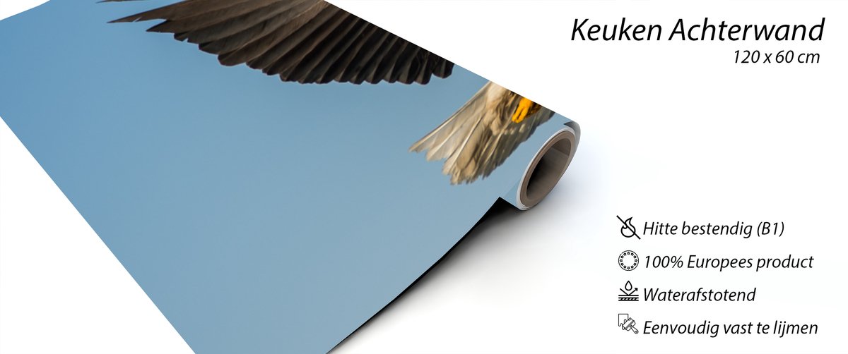 Keuken achterwand behang - Waterafstotend - Vogel - Arend - Roofvogels ...