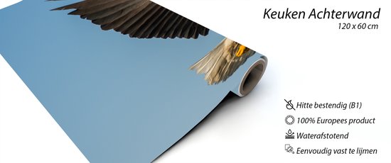 Keuken achterwand behang - Waterafstotend - Vogel - Arend - Roofvogels ...