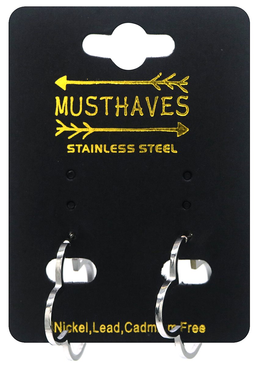 Oorbellen Klaver - RVS - 2,5 cm - Zilverkleurig | bol.com