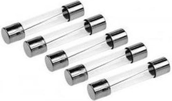 Glaszekering 6,3x32mm F(snel) 2,5A - per 5 stuks | bol.com