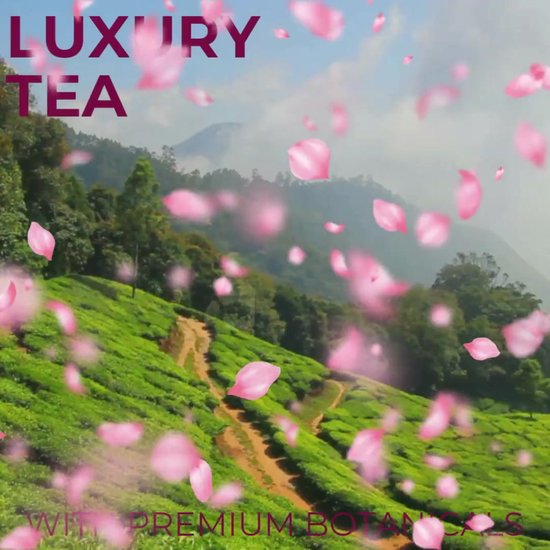 Holland & Noble - White Peony Tea - Witte Thee - Premium Bai Mu Dan Chá ...