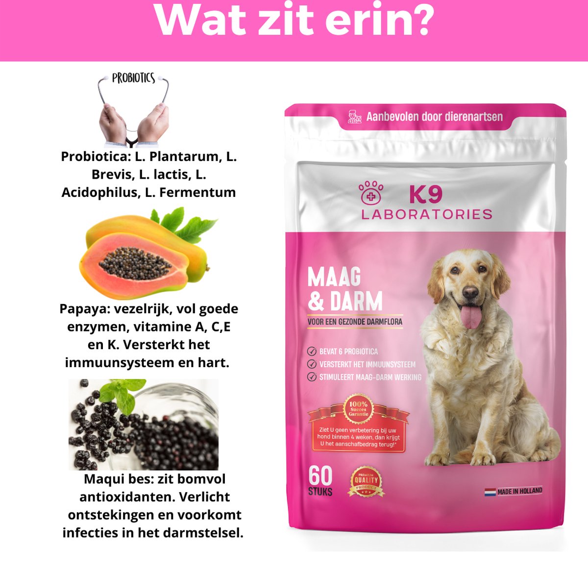K9 Laboratories - Maag & Darm - Probiotica - Supplement - voor honden ...
