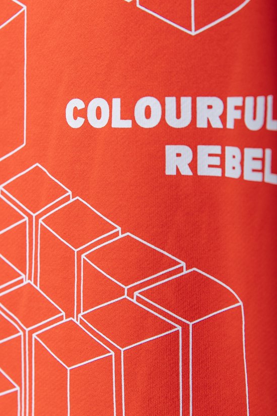 Colourful Rebel CR Blocks Relaxed Clean Pkt Hoodie - M | bol.com