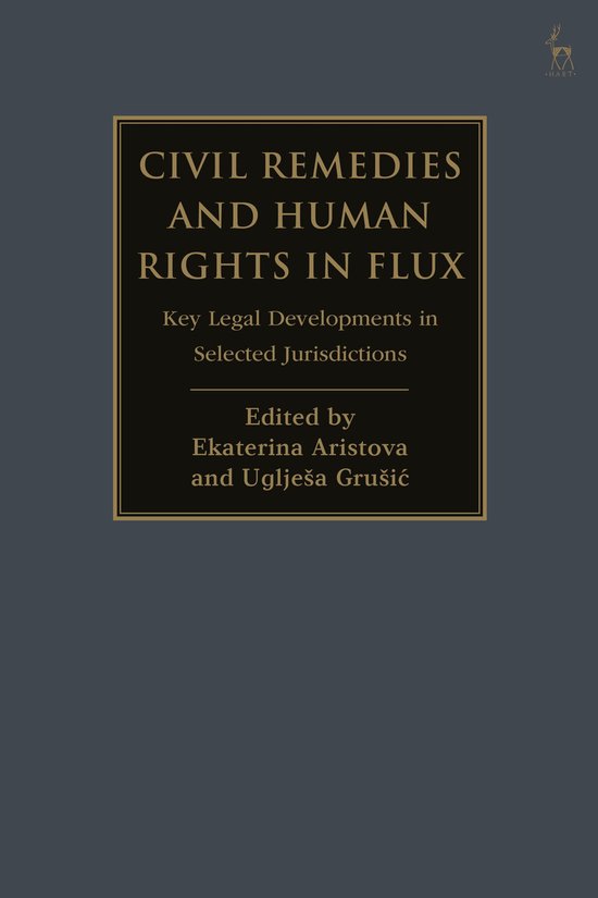 Civil Remedies and Human Rights in Flux | 9781509947638 | Onbekend ...