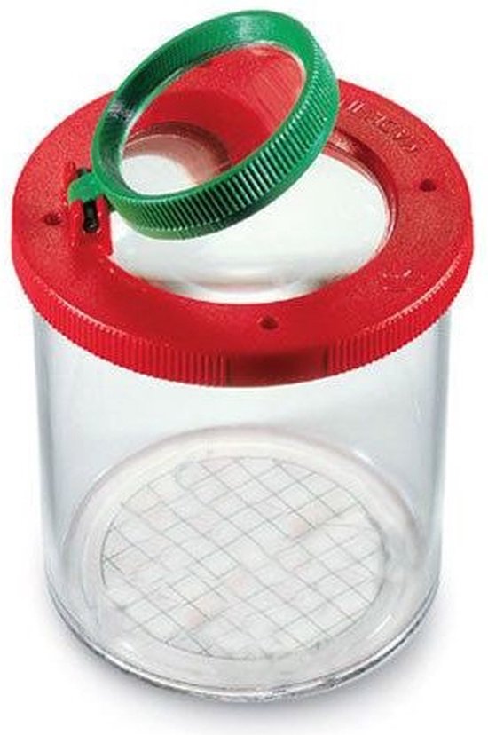 Insecten Loop Loep Potje | bol