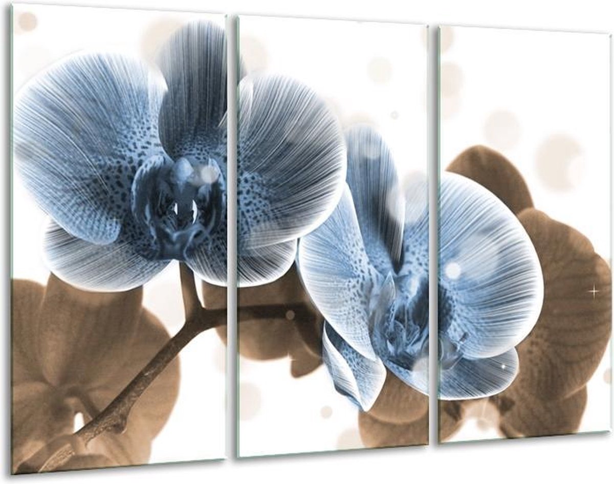 GroepArt - Schilderij - Orchidee - Blauw, Grijs - 120x80cm 3Luik - 6000+ Schilderijen... | bol.com