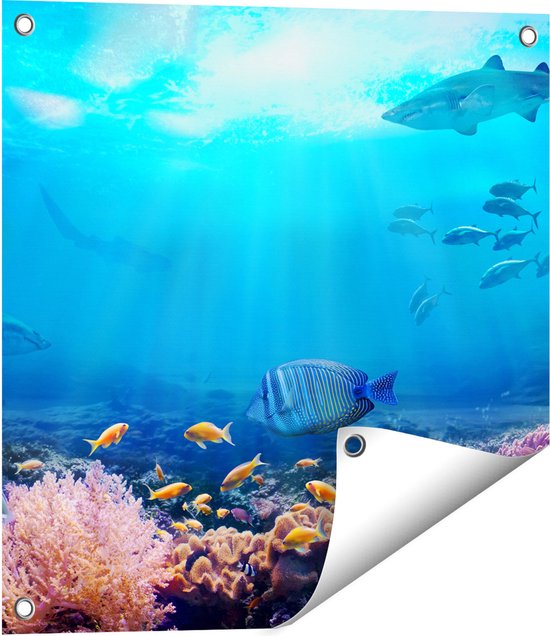 Gards Tuinposter Vissen met Haaien in de Oceaan met Koraalrif - 50x50 ...