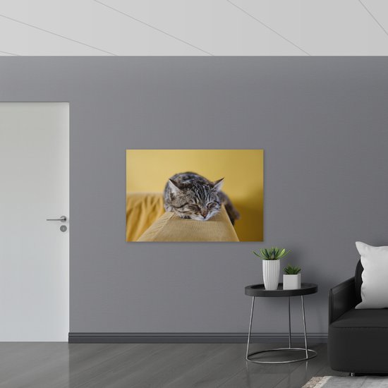 Hout - Liggende Bruine Kat op Leuning van Bank - 120x80 cm - 9 mm dik ...