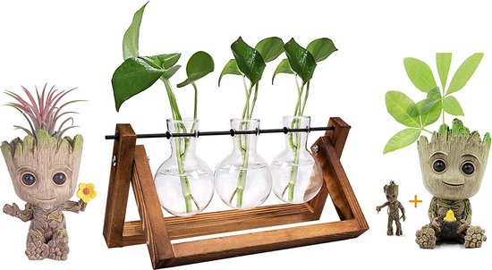 Vase à suspendre hydroponique Vase à fleurs Vintage avec support en ...