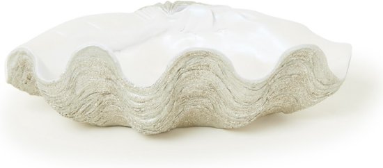 Goodwill Schelp Schaal 40cm | bol