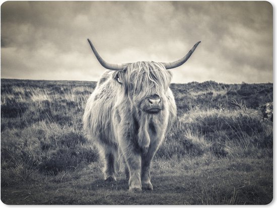 Muismat XXL - Bureau onderlegger - Bureau mat - Schotse hooglander ...