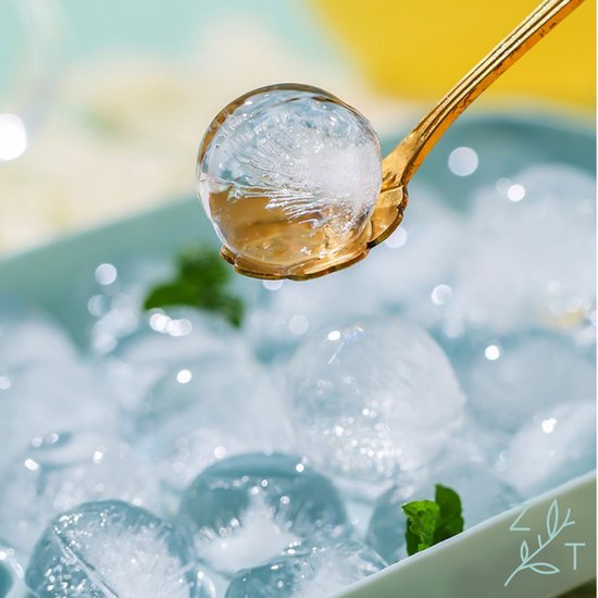 ZijTak - ijsvorm - ijsbol - ijsblok - Vorm - Zomer - Ice tea ...